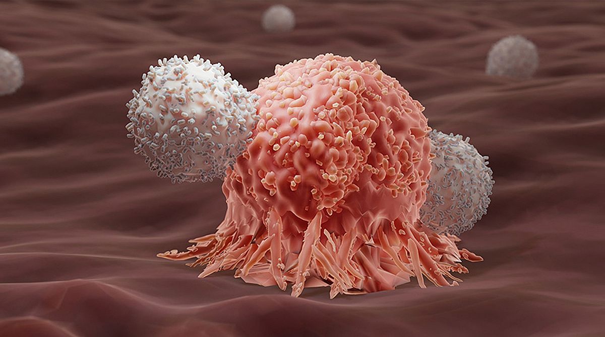 How immune cells recognize the abnormal metabolism of cancer cells (De ...