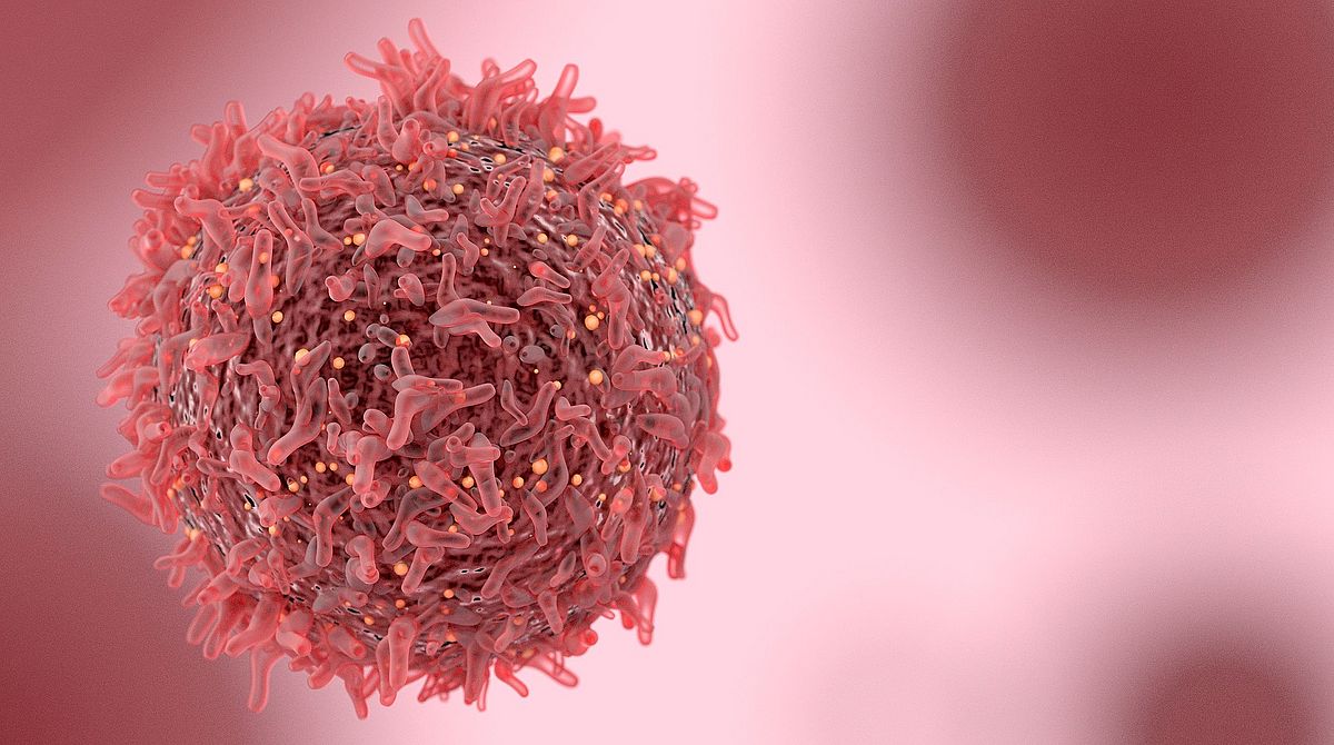 Pharmacological enhancement of MR1 protein expression enhances tumor ...