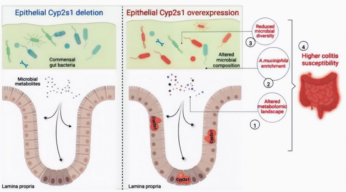 New pathway identified for recognizing environmental pollutants ...
