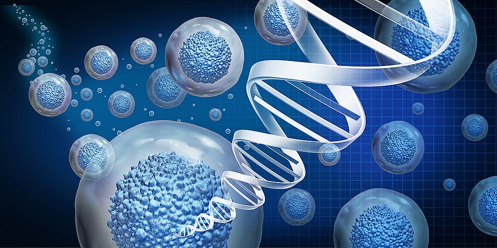 Cell therapy meets the very latest in gene editing: start-up Cimeio ...